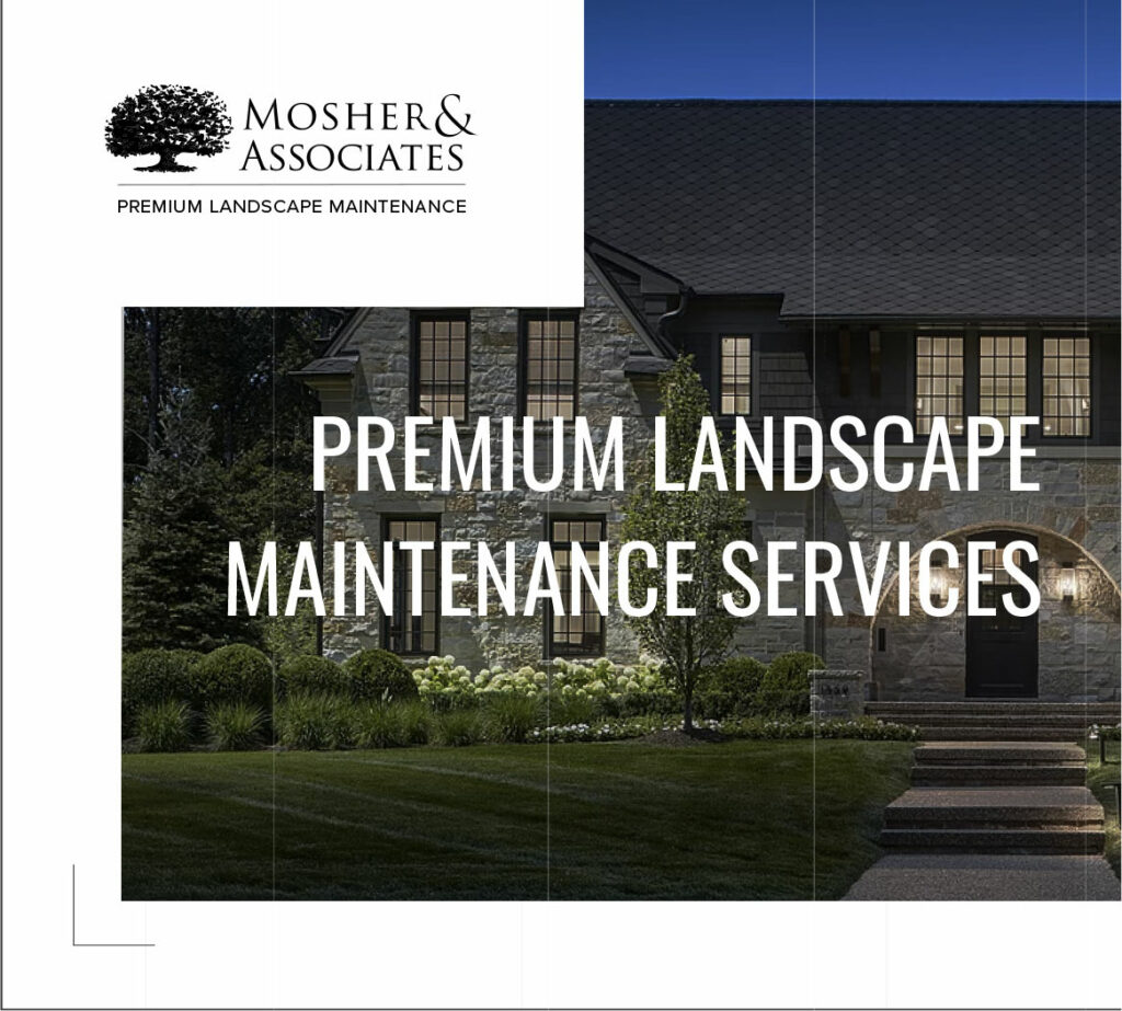 Command Attention With Innovative Landscaping Website Designs - Formcode